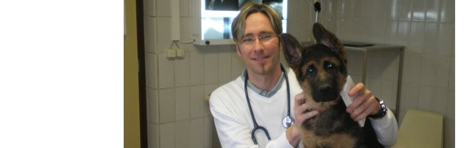 Veteriner klinikleri Mag. Matthias Weber, Steiermark, foto