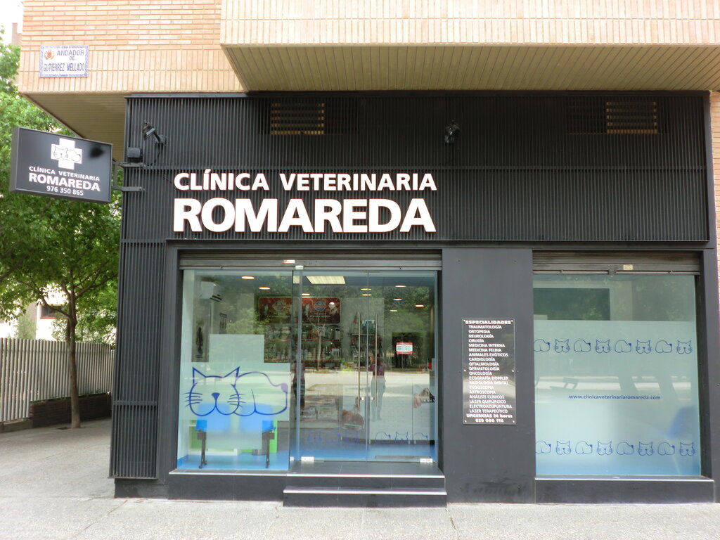 Veteriner materyalleri ve ekipmanları Clínica Veterinaria Romareda - Veterinarios Zaragoza, Zaragoza, foto