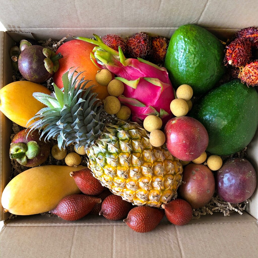 Manavlar Mangolinno, Moskova, foto