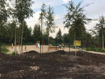 Playground (Leningrad Region, Vsevolozhckiy DIstrict, Morozovskoye gorodskoye poseleniye, potrebitelskiy kooperativ sadovodov Russkiy dizel, kvartal Nizhnyaya chast), oyun alanı  Saint‑Petersburg ve Leningradskaya oblastından