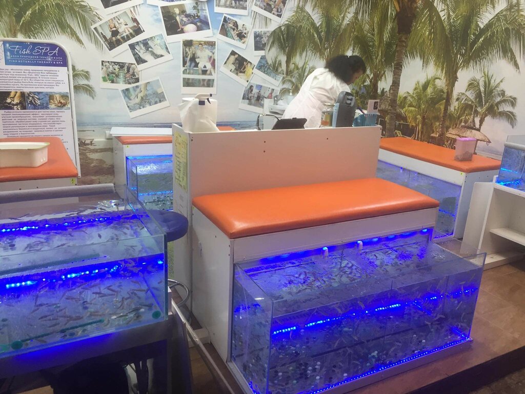 Spa Fish SPA, Gelencik, foto