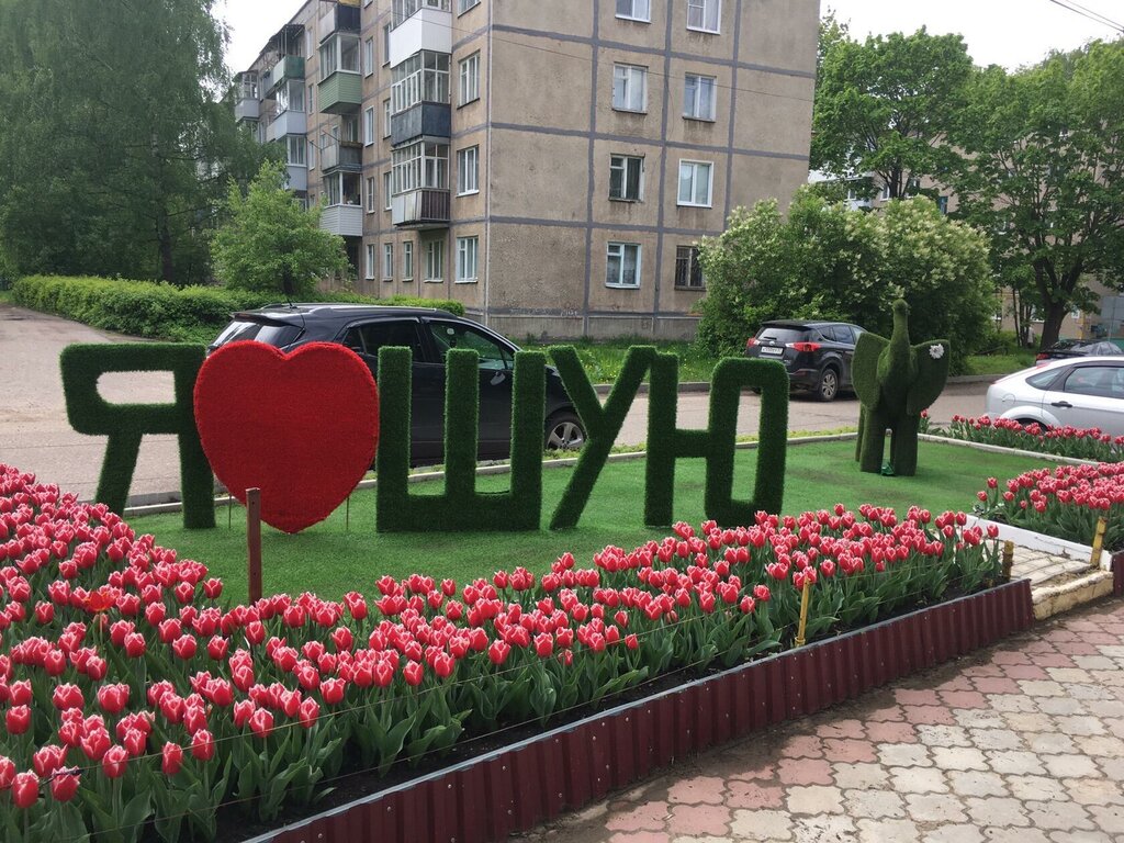 Özel ağız ve diş sağlığı klinikleri ve muayenehaneleri LidiaDent Official, Şuya, foto