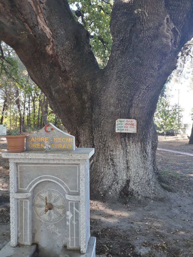 Cami Karaorman Mahallesi Cami, Mustafakemalpaşa, foto