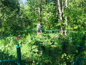 Могила офицера Моисея Наумовича Зайцева, погибшего 15 июля 1944 г. (Republic of Karelia, Pitkyarantskiy munitsipalny okrug, derevnya Ryaymyalya), anıt, heykel  Karelya Cumhuriyeti'nden