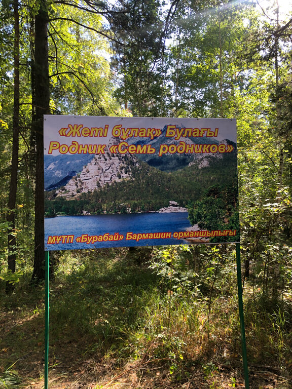 Pınar, çay Seven Springs, Akmola eyaleti, foto