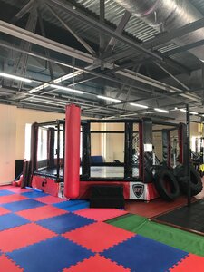 Территория Фитнеса и Единоборств (ulitsa Budyonnogo No:1А, Elektrogorsk), fitness kulüpleri  Elektrogorsk'tan