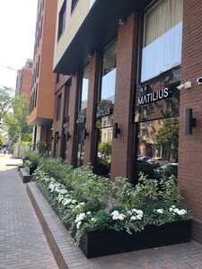 Matilius (Chekhova Avenue No:63), güzellik salonu  Rostov‑na‑Donu'dan