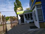 Овощи и фрукты (ulitsa Pavlova No:1к1, Promyshlenny rayon, mikrorayon № 26), manavlar  Stavropol'dan