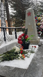 Могила неизвестного солдата (Moscow, Zelenograd, Boldov Ruchey Street), anıt, heykel  Zelenograd'dan