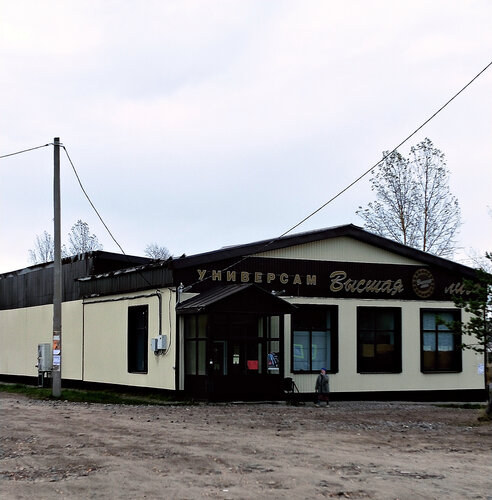 Süpermarket Vysshaya liga, Kostromskaya oblastı, foto