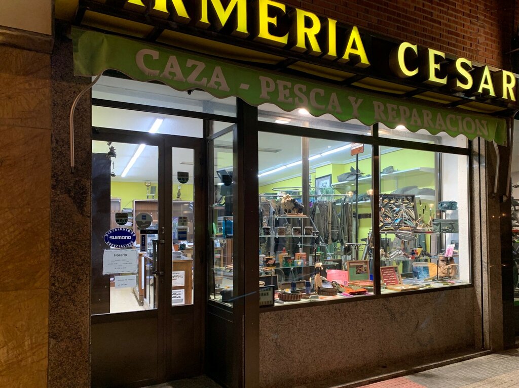 Çocuk oyunları ve oyuncakları Armería Cesar, Burgos, foto