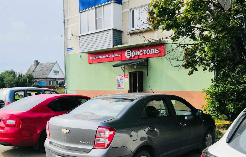 Alkollü içecekler Bristol, Riazanskaya oblastı, foto