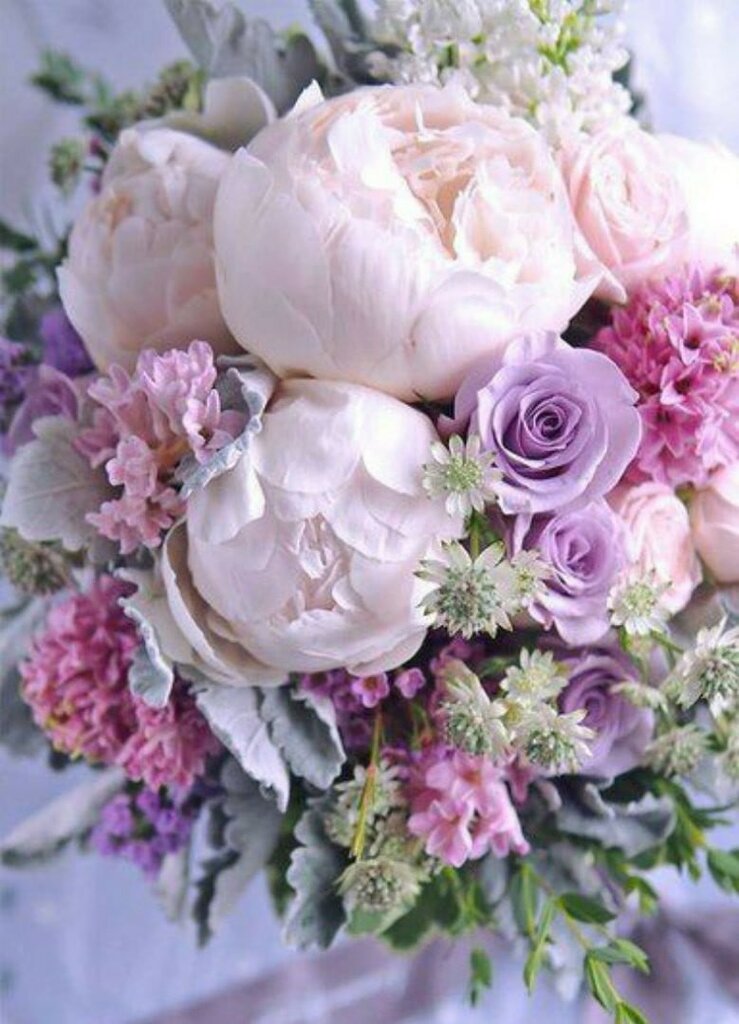 Çiçekçiler Ip Konovalov Ye. A., Rybinsk, foto