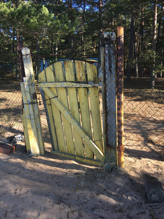 Yaz kampı Детский оздоровительный лагерь Чайка, Sosnoviy Bor, foto