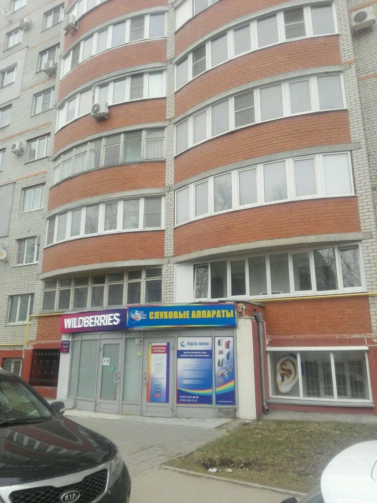 i̇şitme cihazları Радуга звуков, Riazan, foto