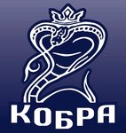 Kobra (Lenina Street No:11), askeri malzemeler  Izhevsk'ten
