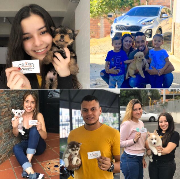 Evcil hayvan yetiştiricileri Criadero Tu Mascota, , foto