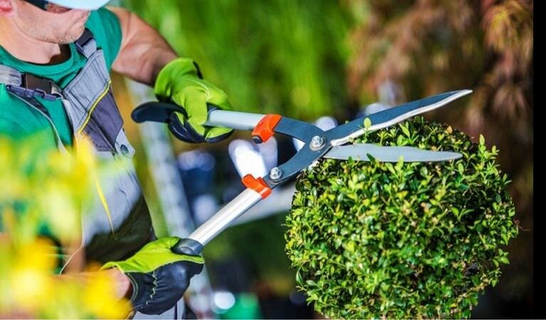 Peyzaj tasarımı ElleVerde Servizio di Giardinaggio, Sardunya, foto