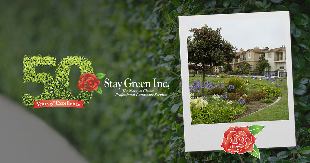 Peyzaj tasarımı Stay Green Inc, Santa Clarita, foto