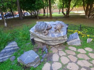 Черепаха (Novosibirsk, park Edemskiy Sad), park, sokak heykeli  Novosibirsk'ten