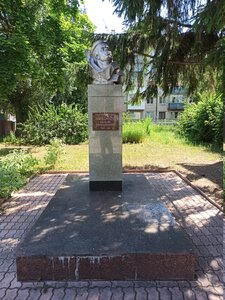 Бюст Е.А. Никонова (Karla Marksa Street No:59), anıt, heykel  Tolyatti'den (Togliatti'den)