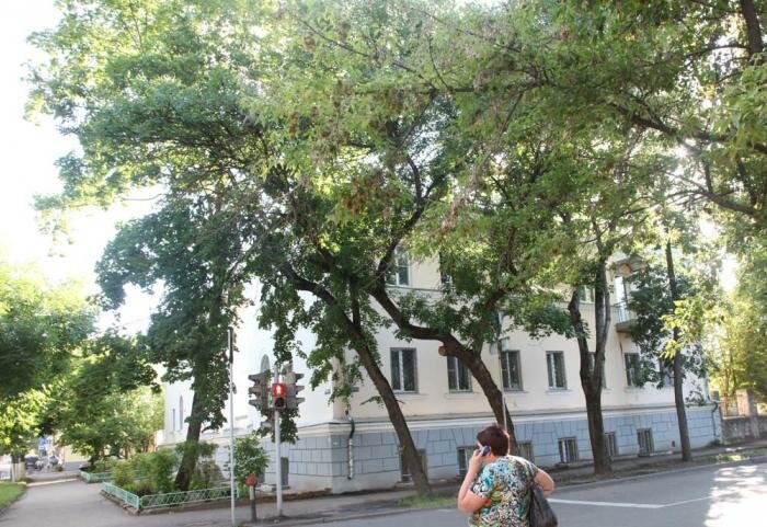 Termal otel Detskiy sanatoriy, Velikie Luky, foto