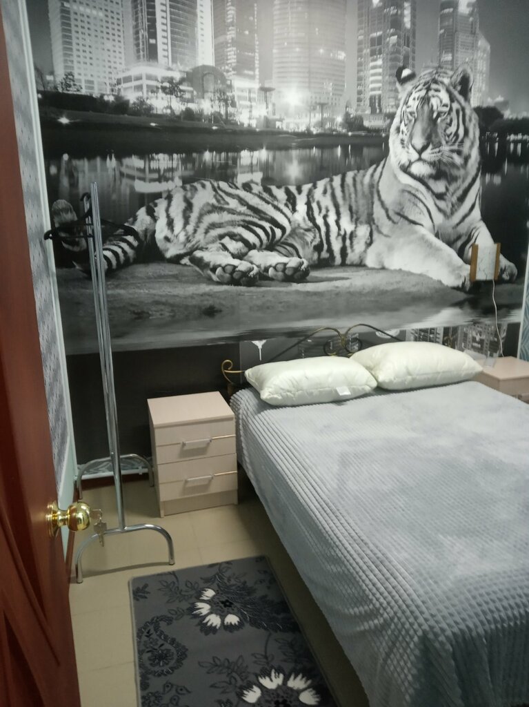 Otel Hostel Hedgehog, Ulyanovskaya oblastı, foto
