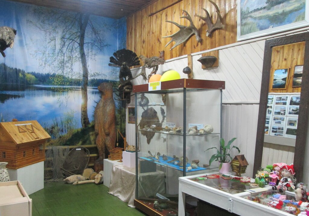 Müzeler ve sanat galerileri Khvoyninsky Museum of Local Lore, Novgorodskaya oblastı, foto