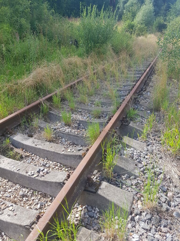 Demiryolu ekipmanları Ремстройпуть, Nijegorodskaya oblastı, foto