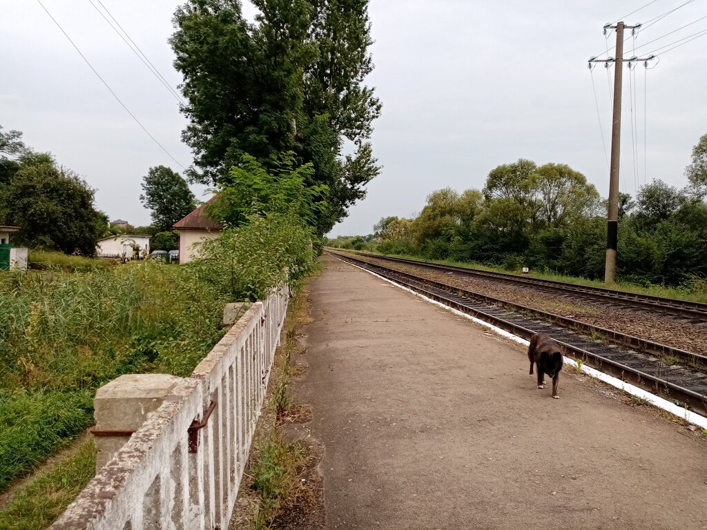 Tren istasyonu станция Давыдов, Lvivska oblastı, foto