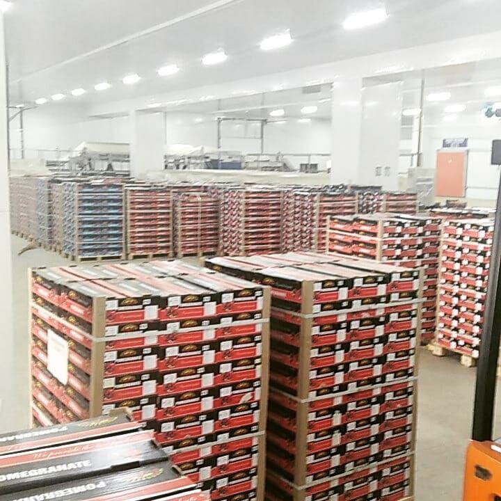 Sanayi kuruluşu Jv Uz-segang LLC, Fergana, foto