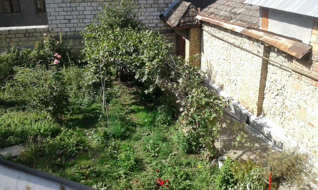 Otel Sheki Homestay and Guiding, Şeki, foto