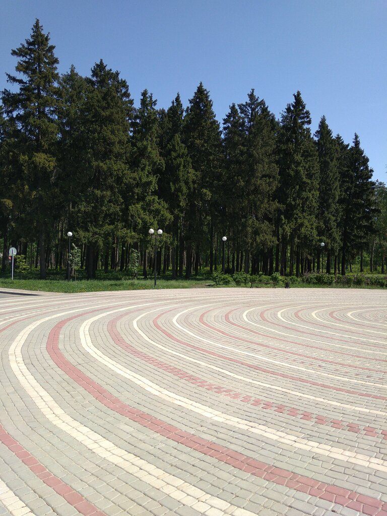 Stadyum Avangard Stadium, Voronejskaya oblastı, foto