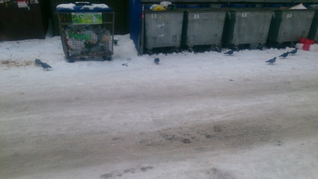 Geri dönüşüm maddeleri Точка сбора мусора, Ulyanovsk, foto