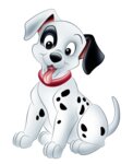 Любимчик (ulitsa Lenina No:80/2), petshop  Beloreçensk'ten