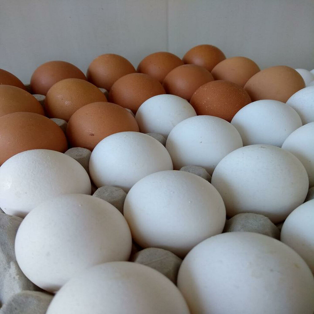 Süpermarket Avicola la Esperanza, Zaragoza, foto
