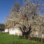 Baumschule Ruthofer - Inh. Di Michael Ruthofer (Carinthia, Wolfsberg, Frantschach-Sankt Gertraud, Grazer Straße, 32), peyzaj tasarımı  Wolfsberg'den