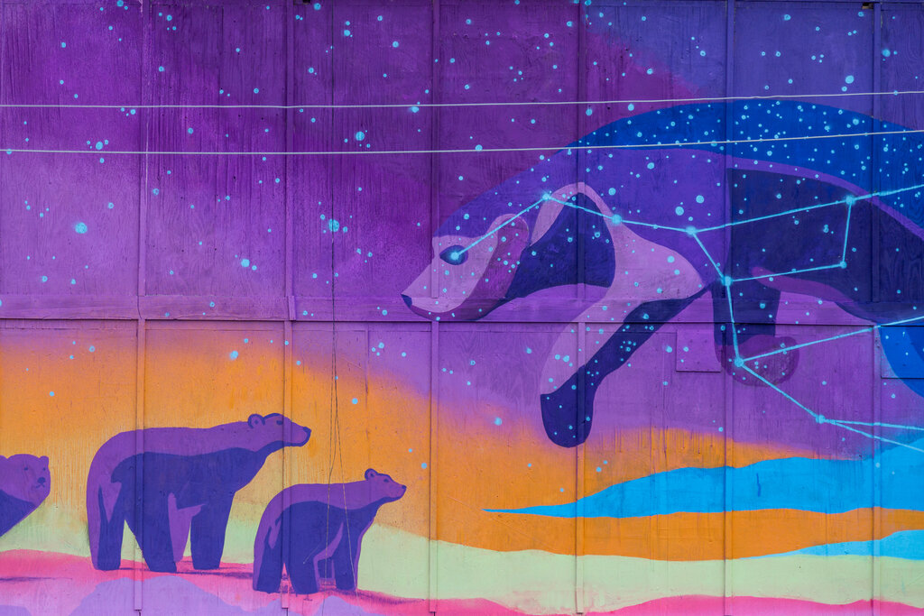 STENOGRAFFIA Дальние родственники, Yamal‑Nenets Özerk Bölgesi, foto