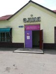 Aliya (Mikhail Lermontov street No:106, Taraz), market  Taraz'dan