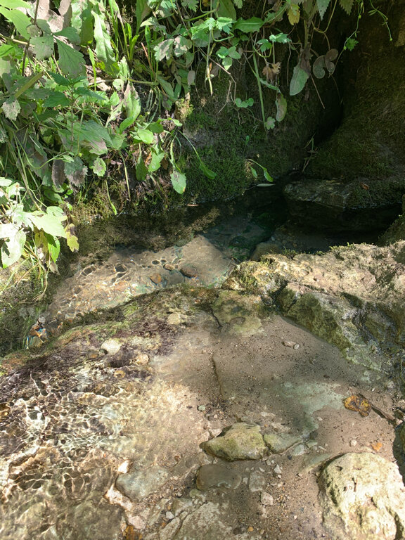 Pınar, çay Spring, stream, Moskova ve Moskovskaya oblastı, foto
