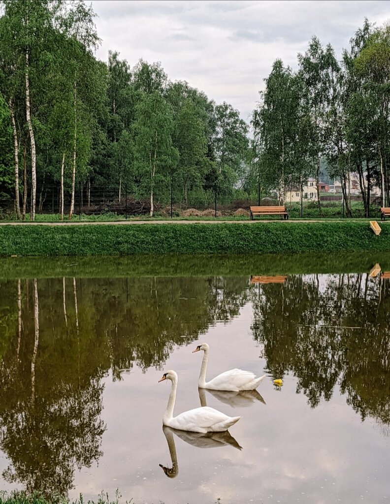Yazlık yerleşim Лисички, Moskova ve Moskovskaya oblastı, foto