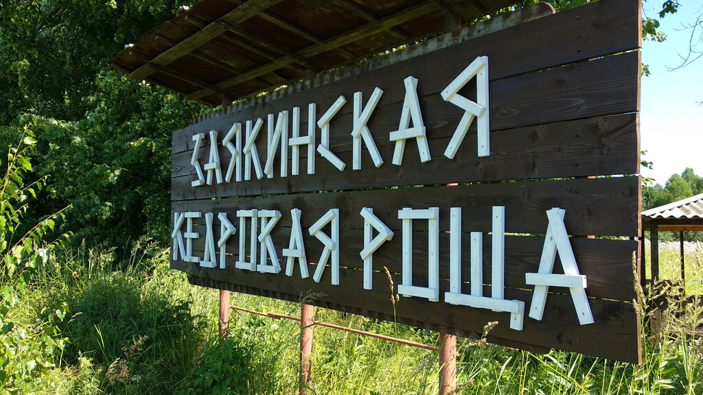 Doğa koruma alanı Заякинская кедровая роща, Udmurtiya, foto