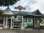 Auto parts and accessories store (Tumanyan Square No:1/6), otomobil yedek parçaları  Vanadzor'dan