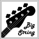 Zheldor String (Shestaya ulitsa No:11, Olgino Microdistrict), enstrüman mağazaları  Balaşiha'dan