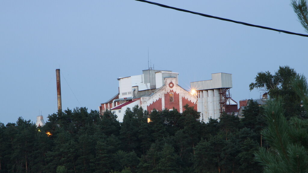 Kimyasal üretim firmaları Novobuyansky Spirtzavod filial Sk Rodnik, Samarskaya oblastı, foto