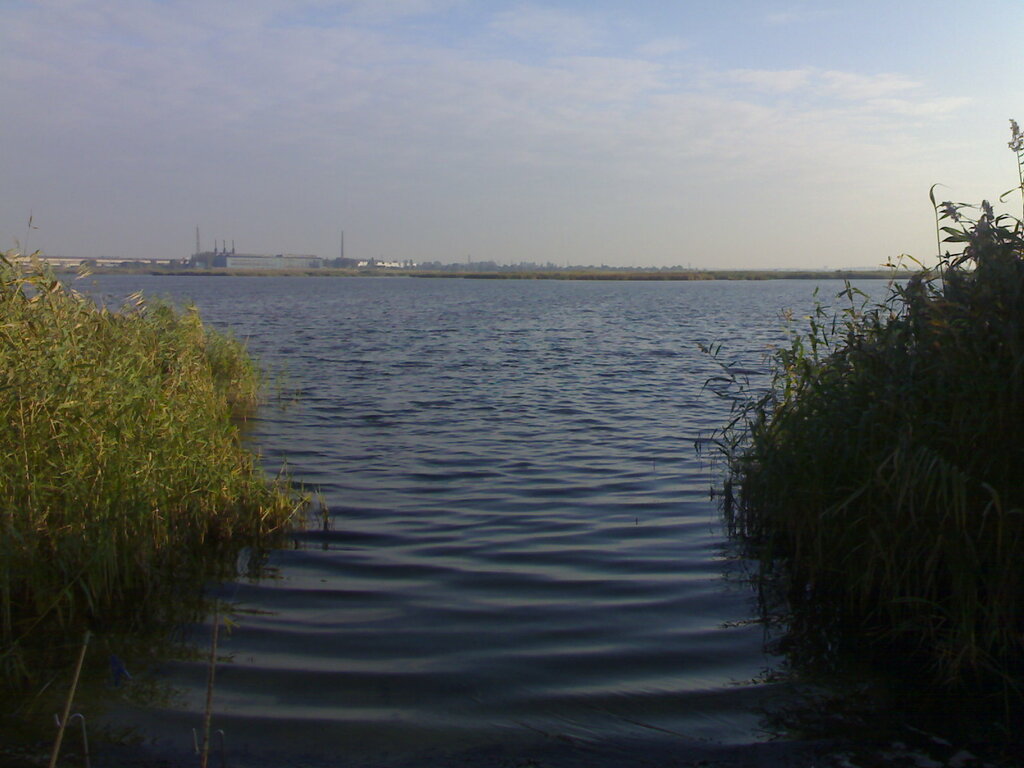 i̇nternet portalları MegaRibolov - a site about fishing and everything connected with IT, Dnepropetrovsk, foto