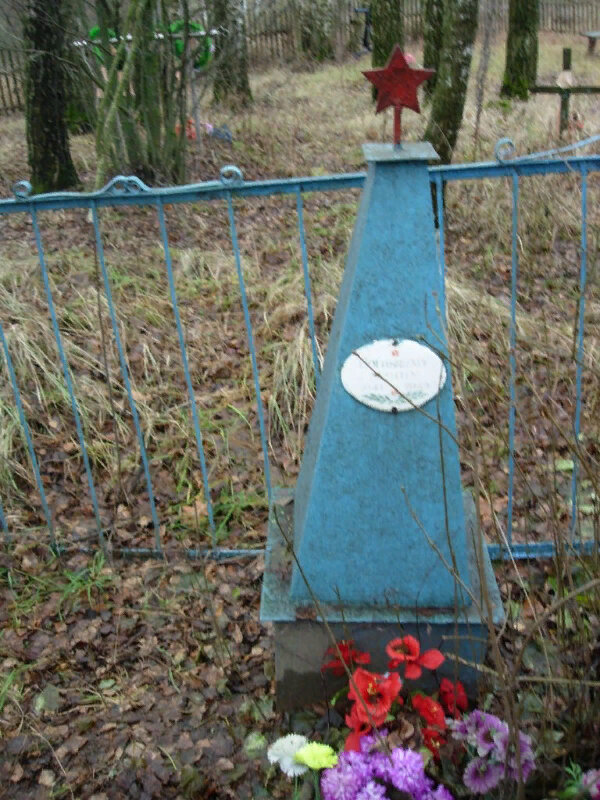 Anıt, heykel Могила советского воина Великой Отечественной войны, Smolenskaya oblastı, foto