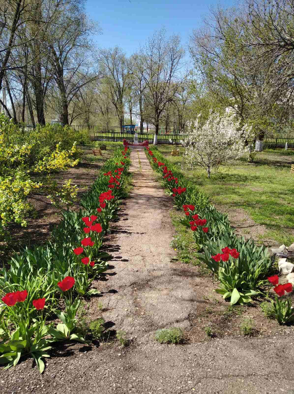 Anıt, heykel Погибшим воинам-землякам, Saratovskaya oblastı, foto