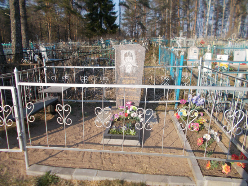 Anıt, heykel Воинское захоронение - могила Андреева Сергея Геннадьевича, Novgorodskaya oblastı, foto