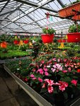 Greizer Vogtlandblumen GmbH (Thuringia, Greiz), çiçek teslimatı  Thüringen'den